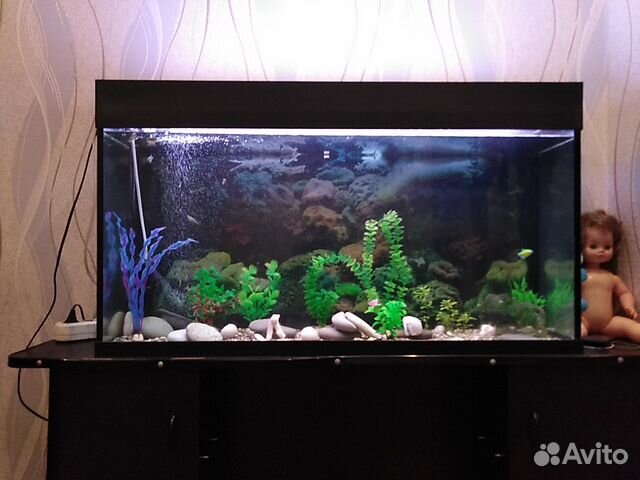 Аквариум