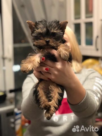 Мини деточка зимний подарочек