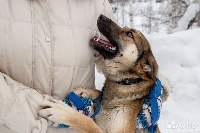 Эрика ищет дом