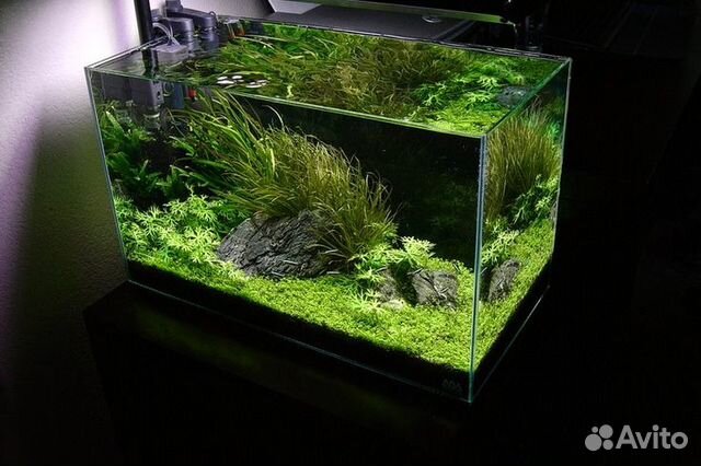 Аквариум ADA 60x30x36 cм. 60 литров