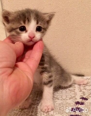 Нежный малыш в добрые руки