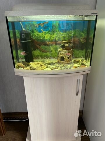 Аквариум