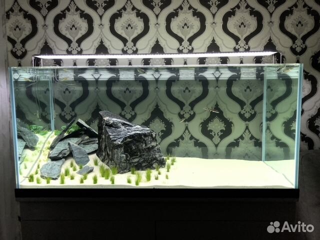 Аквариум 120*55*55 (360 литров ) Ивагуми ком