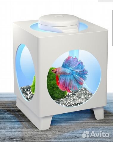 Аквариум Tetra Betta Projector 1,8л