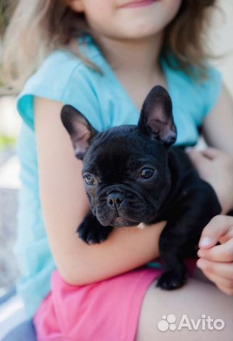 Прекрасные девулечки