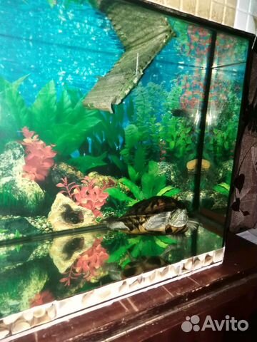 Аквариум