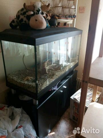 Аквариум Cayman 110