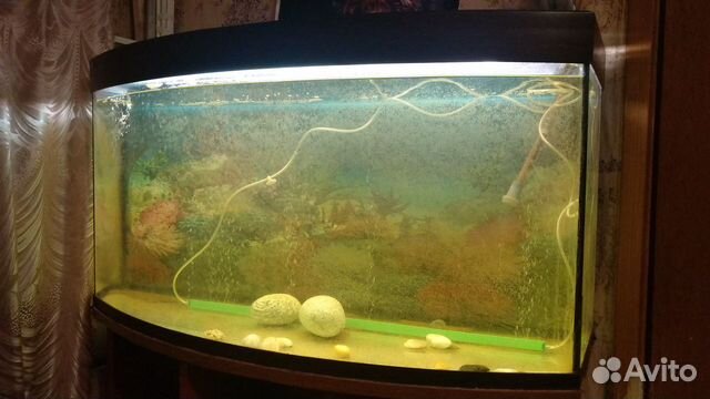 Аквариум Биодизайн Панорама 270 литров