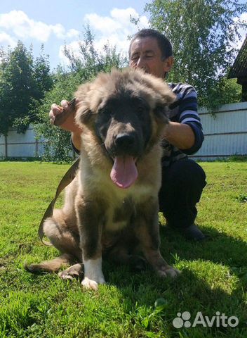 Девочка 4 месяца