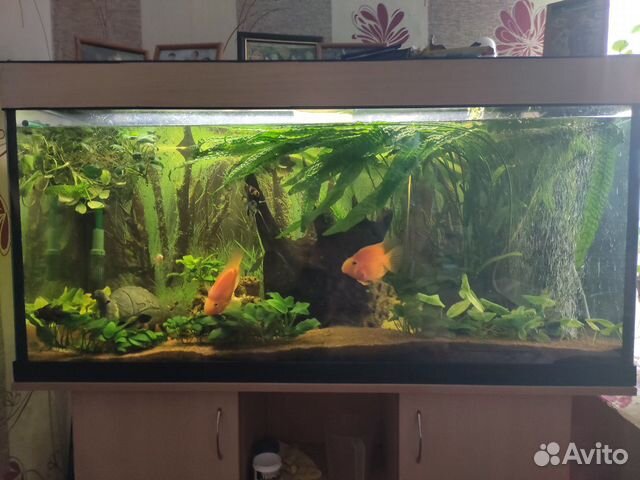 Аквариум 280л