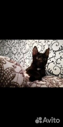 Малыши карандаши