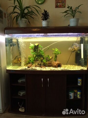 Аквариум