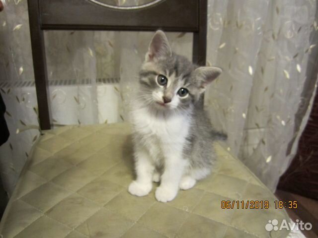 Очаровательный мальчик в добрые руки