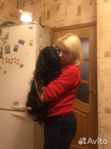 Очень хотим спарить собаку мальчикхочет девочку.бе