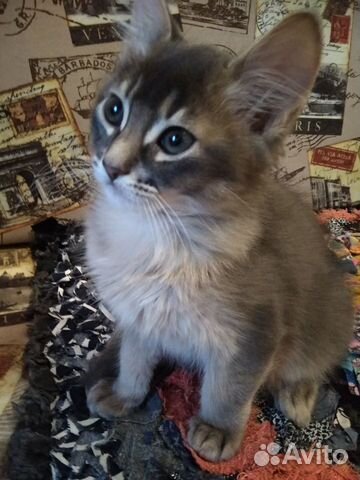 Новогодний подарок