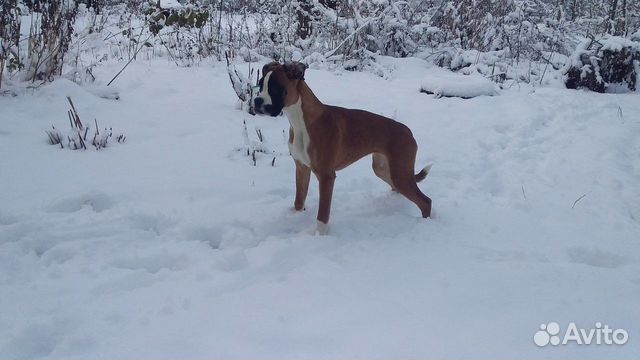 Девочка-боксёрочка