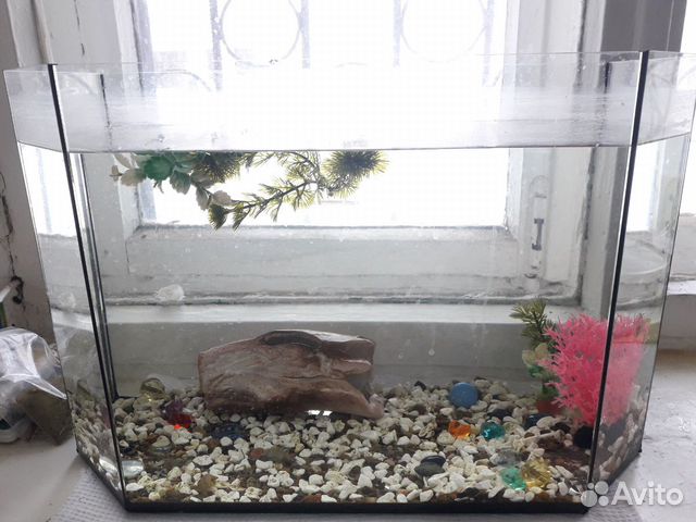Аквариум