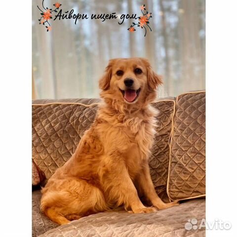 Солнышко в добрые руки