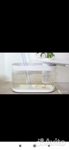 Аквариум умный