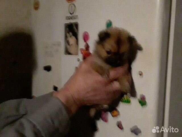 Малышка Ляля