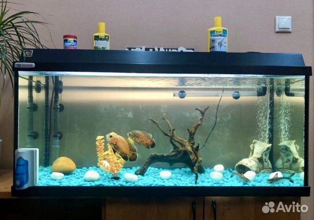 Аквариум с рыбками