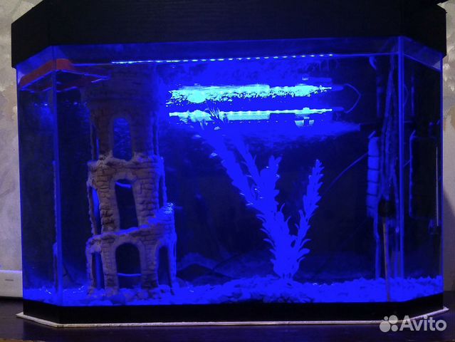 Аквариум