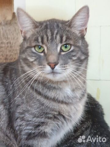 Мужчина в расцвете лет ждет принцессу