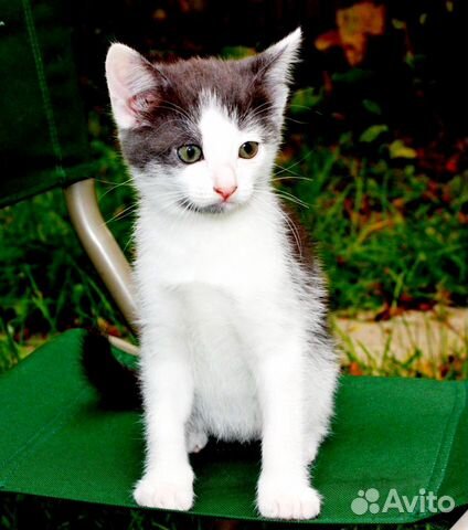 Мальчик-красавчик Сэми ждёт любящую семью