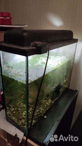 Аквариум
