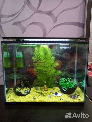 Аквариум 15 литров
