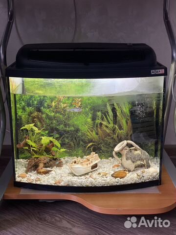 Аквариум aquael рыбки растения