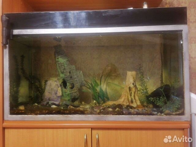 Аквариум на 200 литров с подсветкой