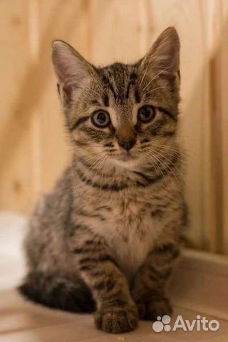 Очень красивый мальчишка