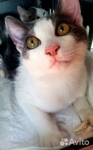 Митя маленький мужчина