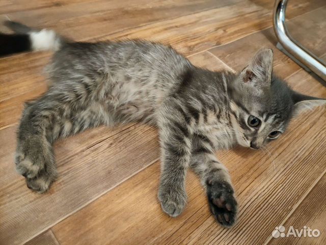 Добрый ребенок