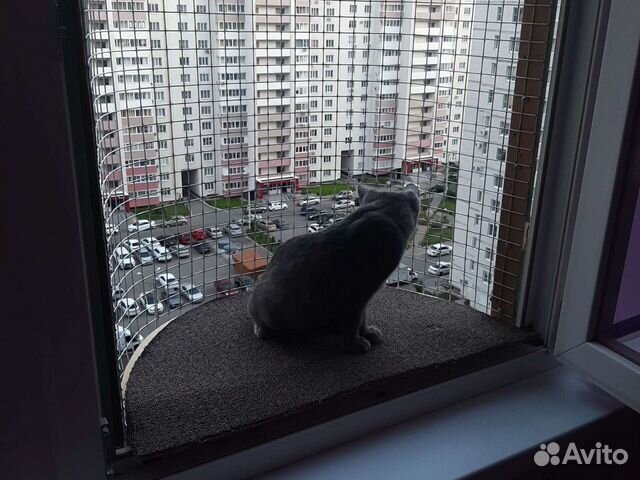 Балкончик для кошки