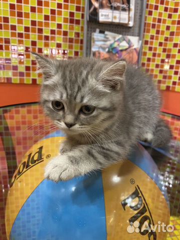 Не известно