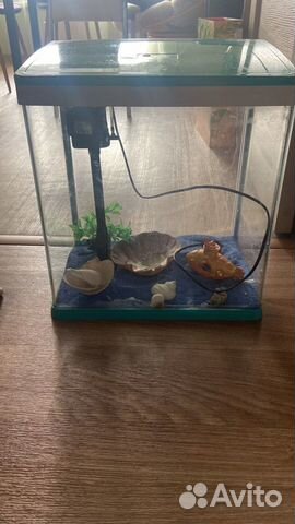 Аквариум Sea Star