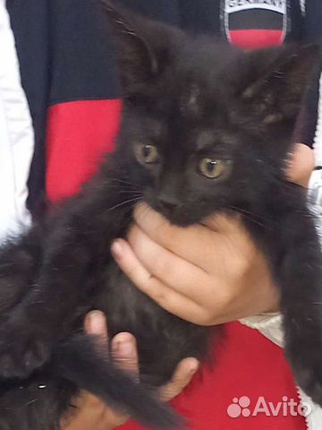 Нет изображения