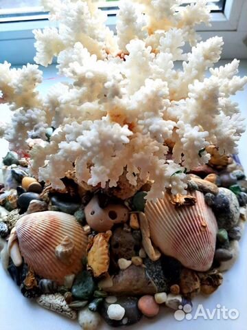 Коралл с ракушками. Ручная работа