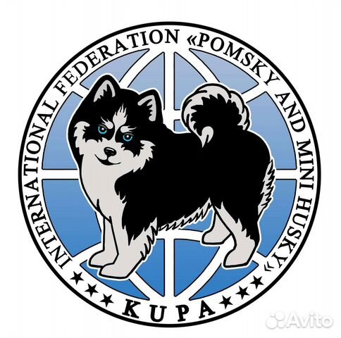 Помски и Мини Хаски Федерация