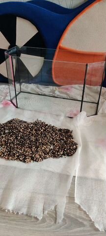 Аквариум на 60 л и атрибуты к нему