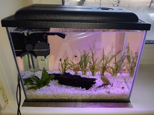 Аквариум 15л