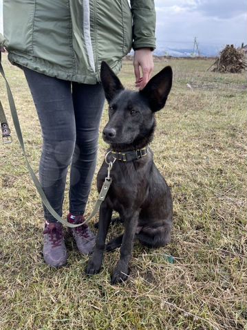 Габи ищет дом ее выбросили на Тавриде