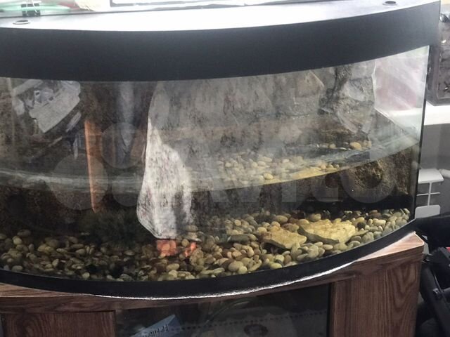 Аквариум панорамный 180л